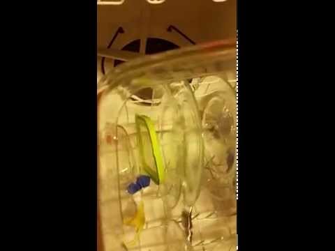 Amanda Place Apartments Cheap dishwasher replacement Video taken 5 OCT 2015