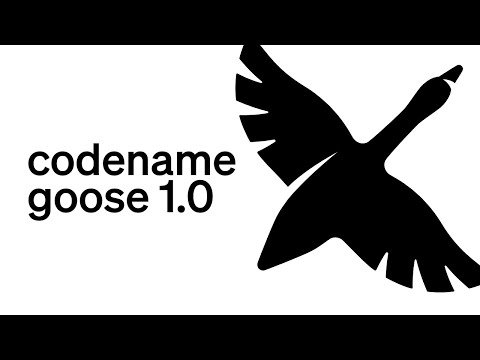 Meet codename goose 1.0