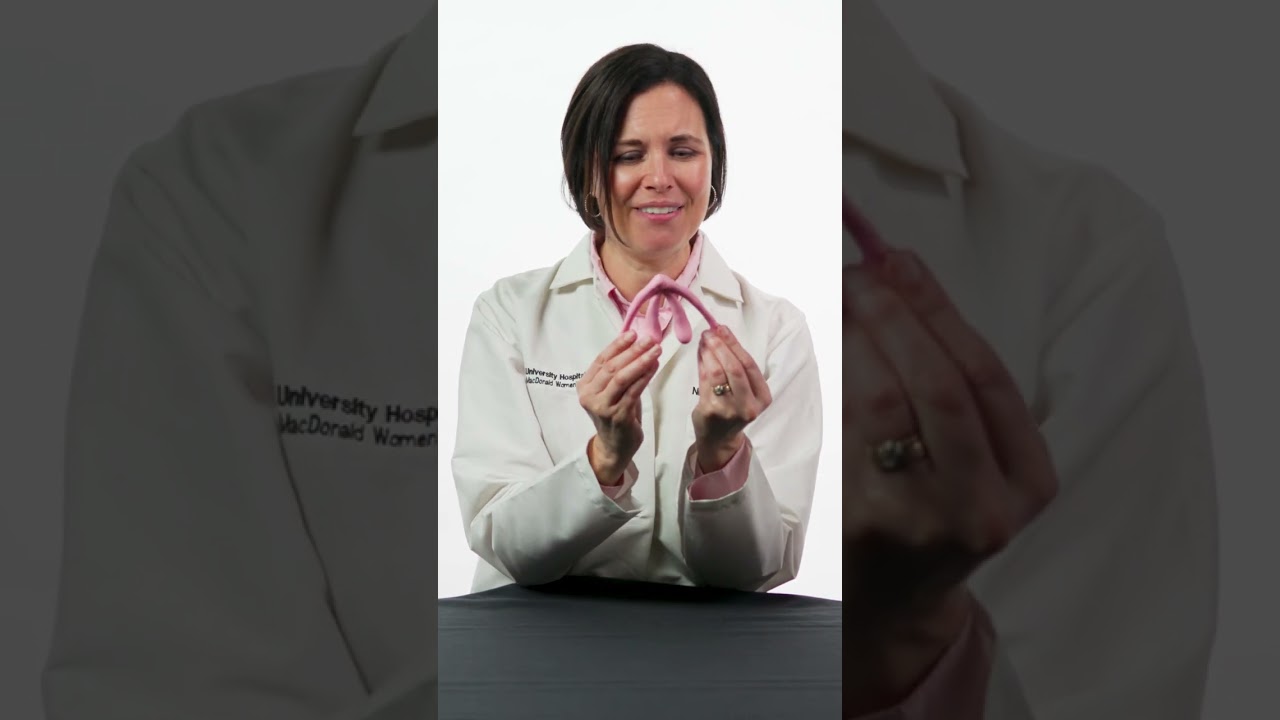 Women's Sexual Health: Clitoris Overview