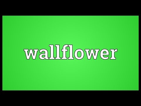 Wallflower Meaning