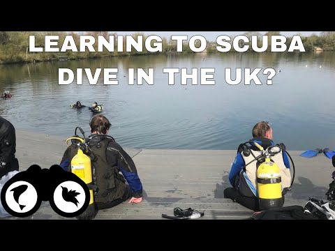 Should YOU learn to SCUBA dive in the UK? | Pros and Cons of UK SCUBA diving