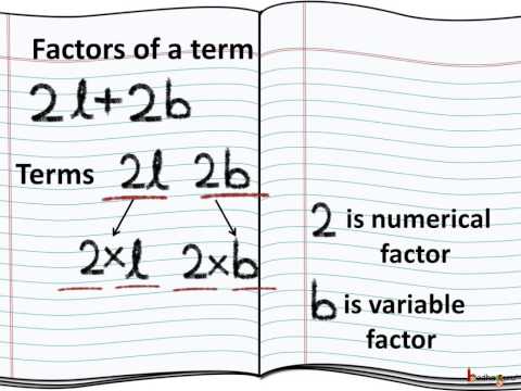 Math - What are algebraic term, factor and coefficient - English