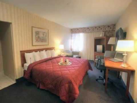Comfort Inn Toronto Airport - One Of The Best Hotel In Toronto
