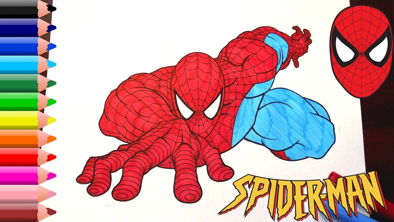 Spiderman coloring pages  / Spiderman coloring book
