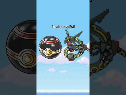 Can You Catch SHINY RAYQUAZA in a LUXURY BALL?
