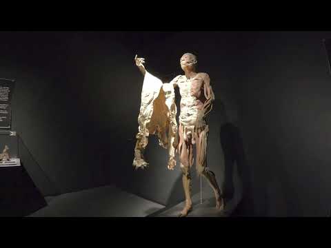 Our body 3!