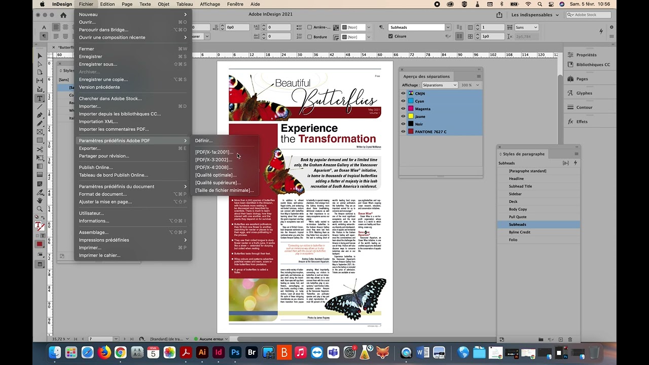 16 Application Verification PDF