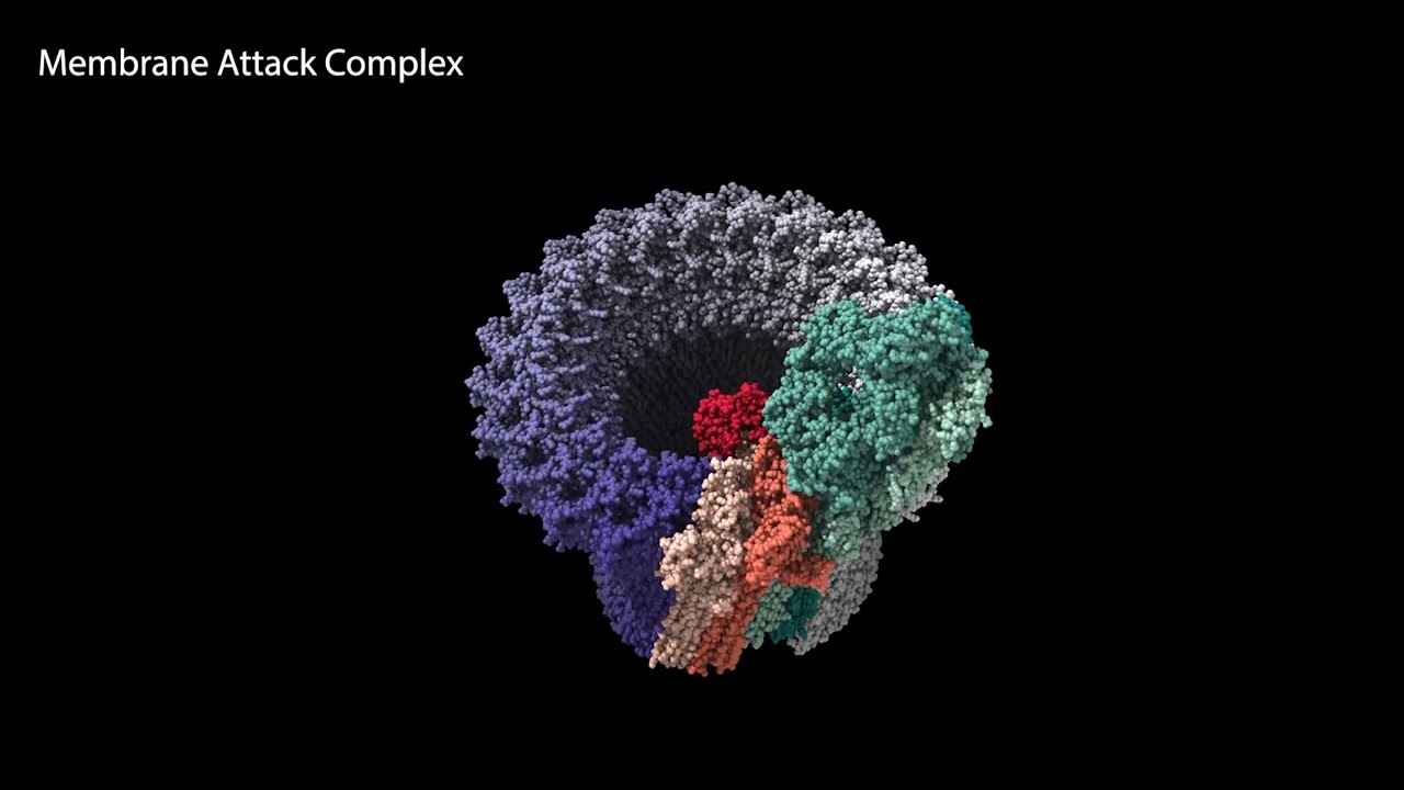 Extremely rare gene variants and AMD