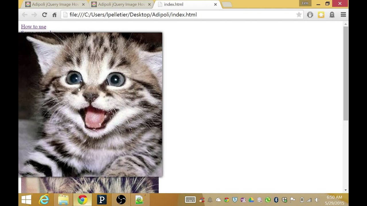 Adipoli Javascript Plugin
