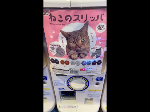 JAPANESE CAT SLIPPERS 🐾