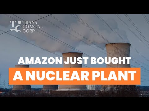 Amazon Just ‘Adopted’ a Nuclear Plant—Is Big Tech Hijacking the Grid