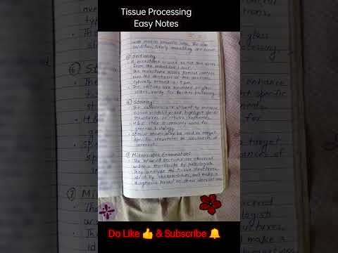 Tissue Processing (Steps & Methods) for Histological Examination | Applied Histopathology