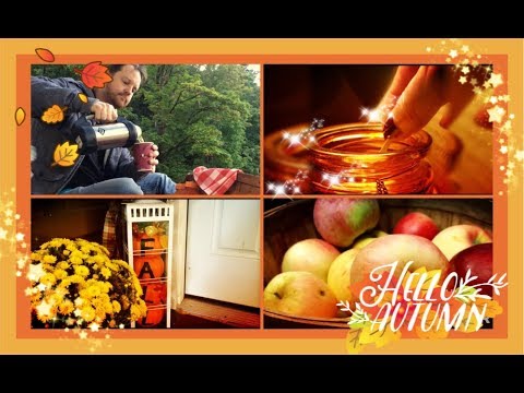 ~FALL MOOD - Fall Decorating- Fall Picnic-Fall Treats- Fall Activities~