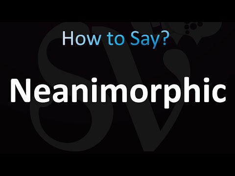 How to Pronounce Neanimorphic (Correctly!)