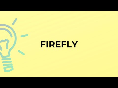 What is the meaning of the word FIREFLY?