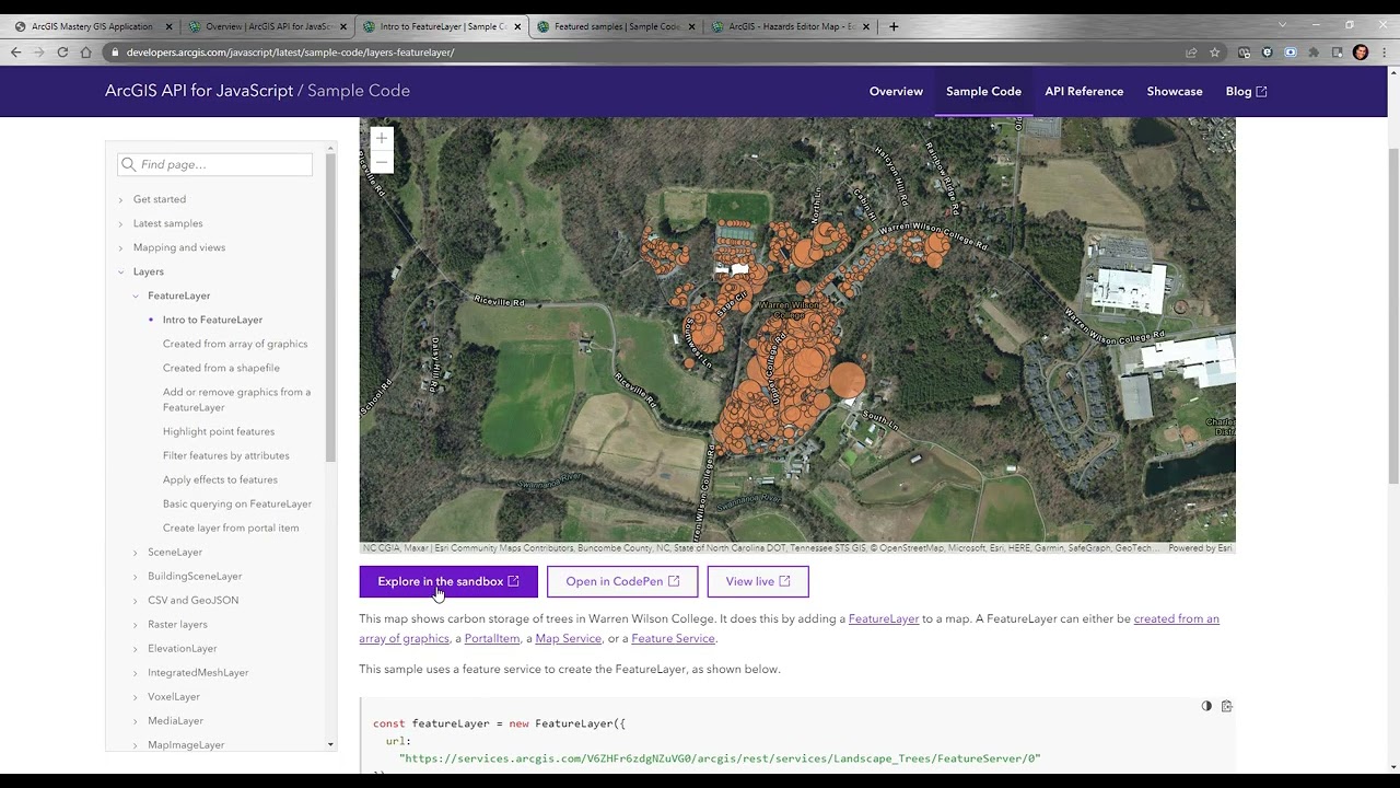 Adding Map and Layers - ArcGIS Javascript API