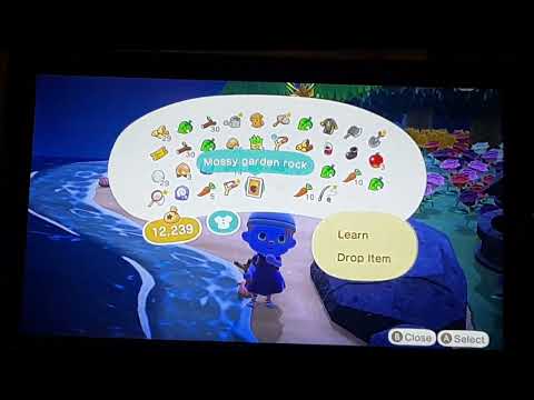 Cube's Dream DIY Animal Crossing 5-29-22