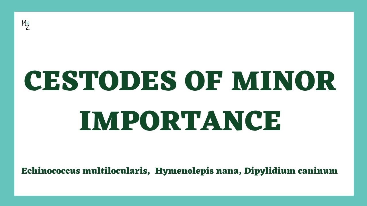 Echinococcus multilocularis, Hymenolepis nana and Dipylidium caninum | Cestodes of Minor Importance