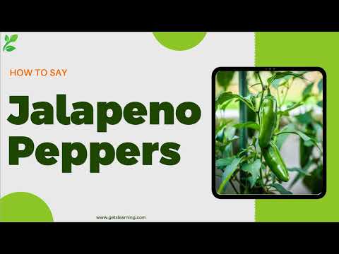 How to Say Jalapeno Peppers in English correctly