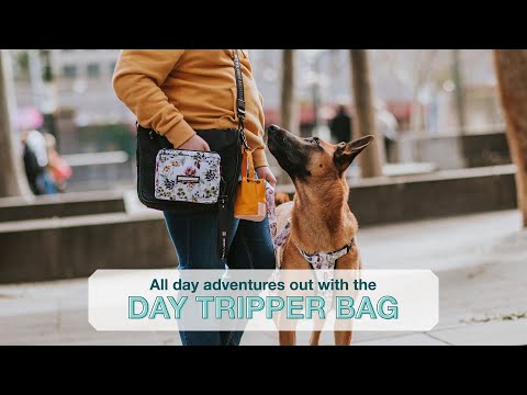 All Day Adventures with the Day Tripper