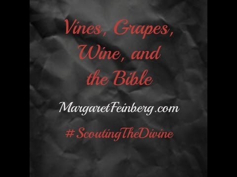 Vines, Grapes, Wine, and the Bible