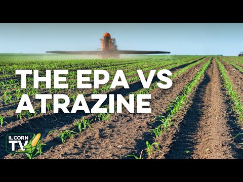 Does EPA Appreciate How Much Farmers Rely On Atrazine? | IL Corn TV #5