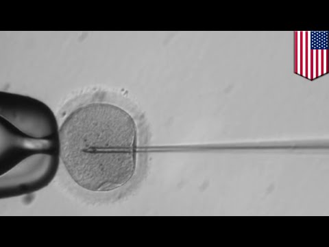 CRISPR: US scientists successfully gene-edit human embryos - TomoNews