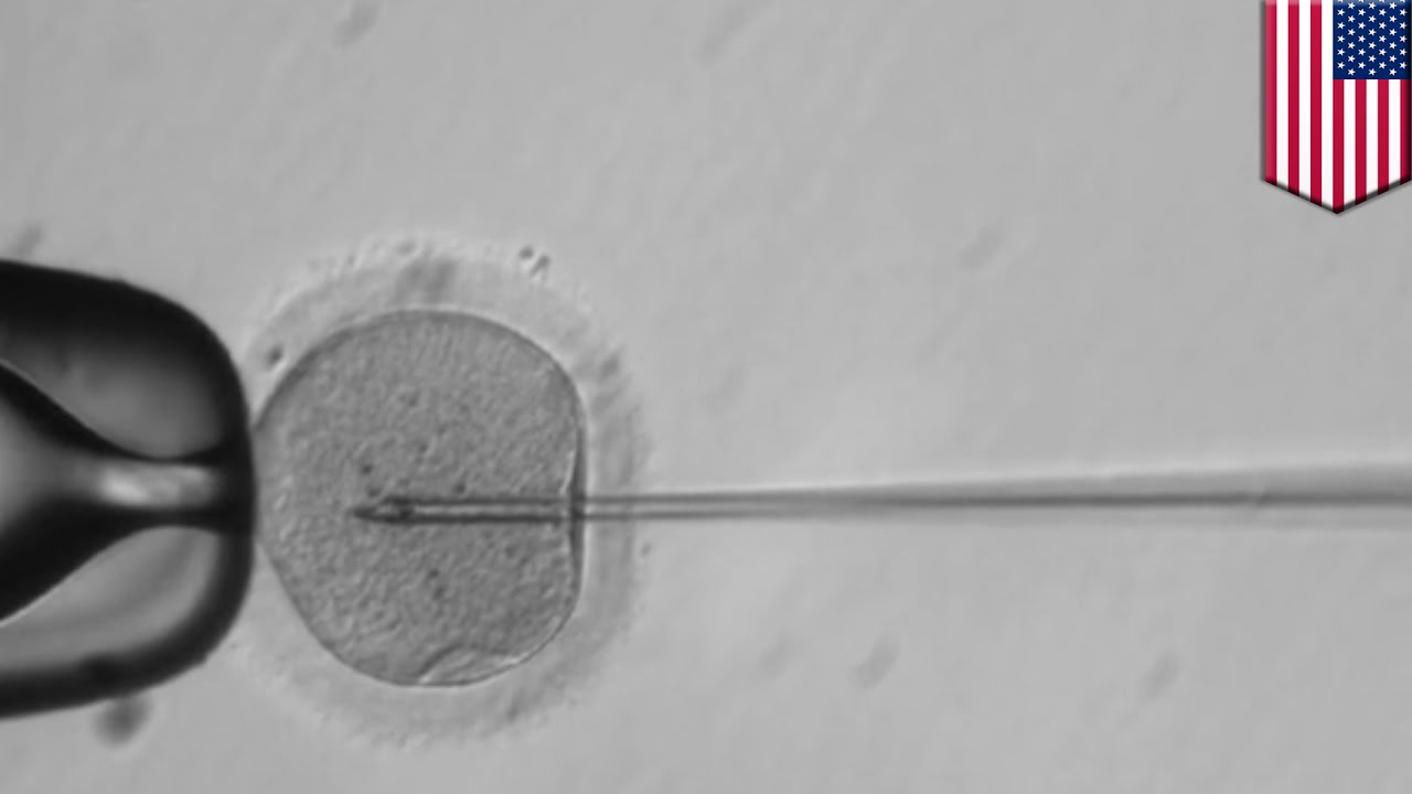 CRISPR: US scientists successfully gene-edit human embryos - TomoNews