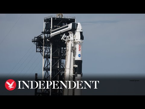 Watch again: Nasa, SpaceX launch Crew-8 mission to International Space Station