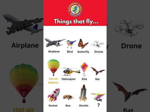 Things that fly... #english #esl #fly #englishlanguage #vocabulary