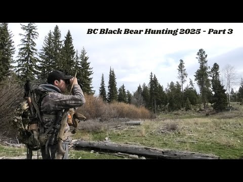 BC Black Bear Hunting 2025 - Family Day