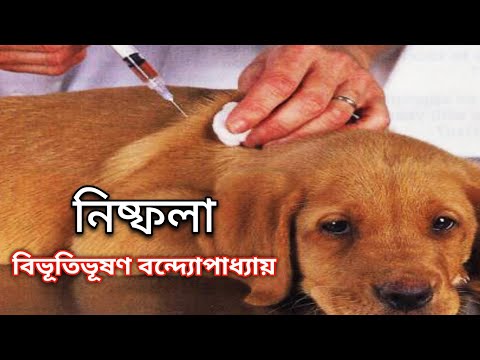 ছোটগল্প নিষ্ফলা| বিভূতিভূষণ বন্দ্যোপাধ্যায় | Nishfala #bengaliaudiobook #doglover