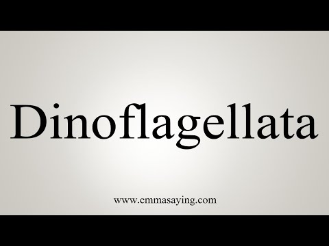 How To Say Dinoflagellata