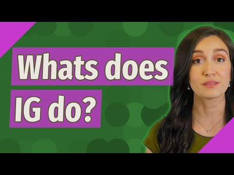 Whats does IG do?