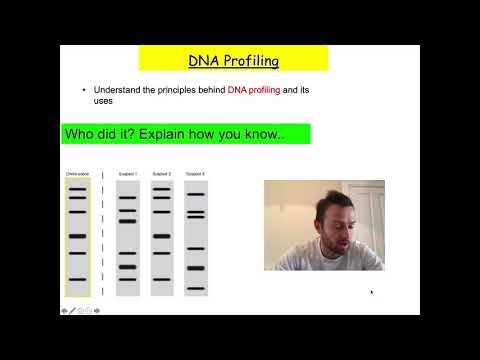 DNA Profiling (OCR A Level Biology Module 6.3.3)