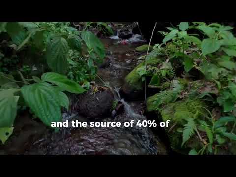 Throwback video series 1: Natural Resources and Livelihoods - Get to know @Hills2OceanJA Project