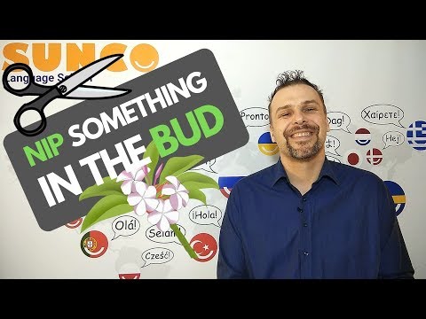 idioms 101 - nip something in the bud