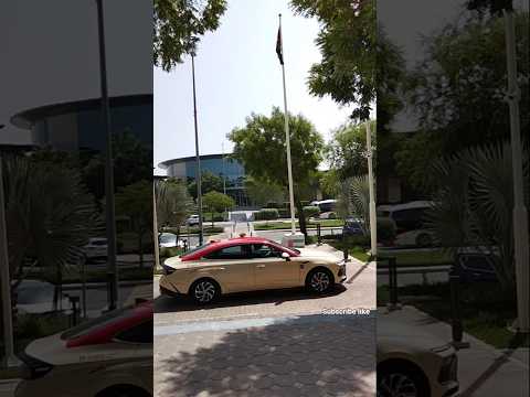 Dubai#road production city wherhouse UAE flag #dubailfe #travelreel #flag