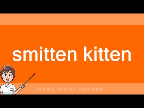 smitten kitten