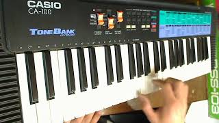 Casio Tone Bank CA-100 - What To Know & Where To Buy | Equipboard