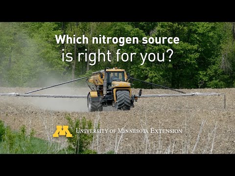 Which nitrogen source is right for you?