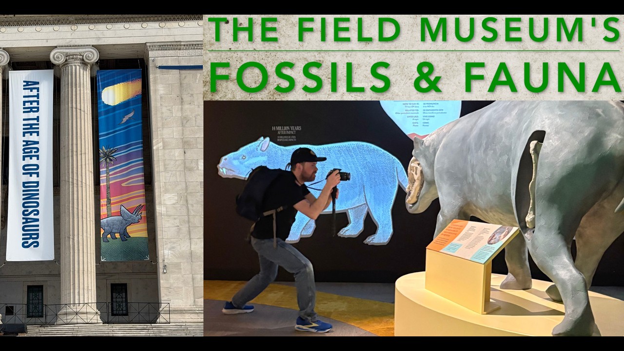 The Field Museum's Fossils & Fauna (2026)