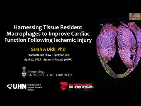 Harnessing Tissue Resident Macrophages to Improve Cardiac Function Following Ischemic Injury