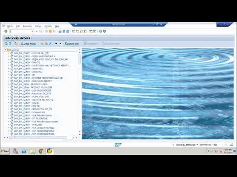 SAP LOGON Screen GUI NAVIGATION ||SAP-BI/BW