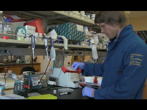 "Every Scientist Needs to Be Curious"