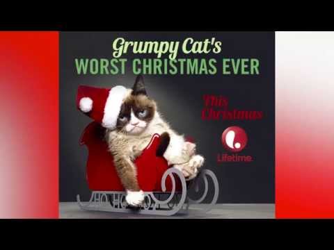 Grumpy Cat to Star in 'Home Alone' Meets 'Die Hard' Holiday Film