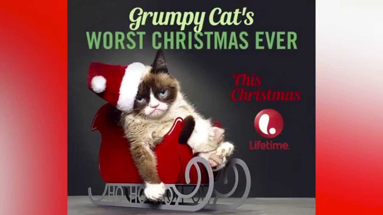 Grumpy Cat to Star in 'Home Alone' Meets 'Die Hard' Holiday Film