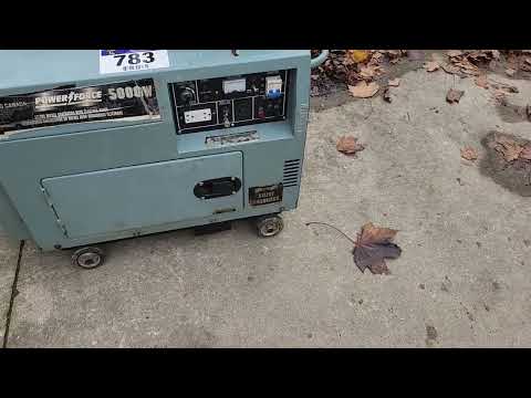 Hooptie King Canada 5000W Diesel Generator (From Auction)