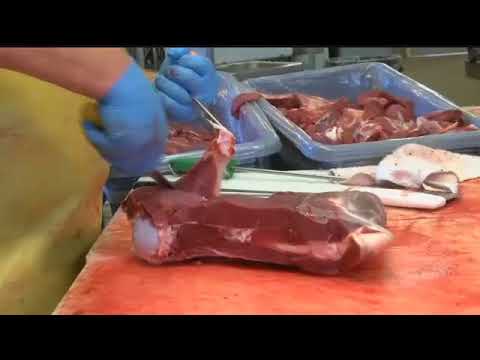 Hunting season means big business for meat processors