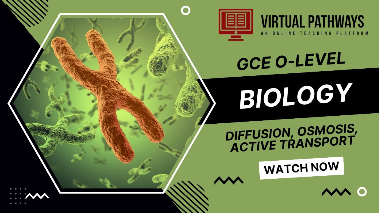 Diffusion, Osmosis, Active Transport | GCE O-Level Biology 5090 | Virtual Pathways